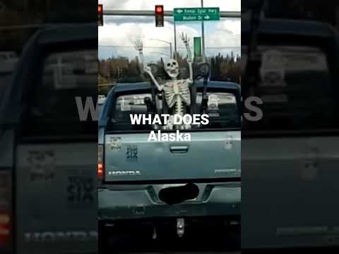 What does an Alaskan skeleton drive? - YouTube