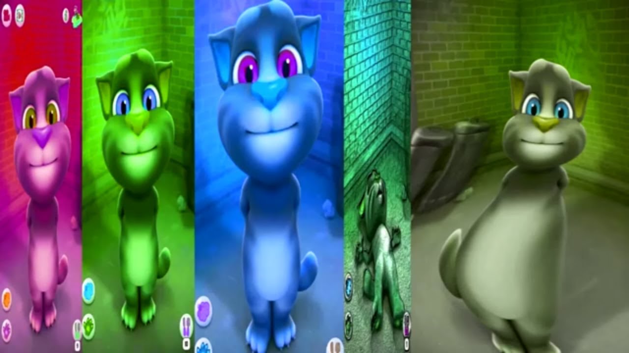 Learn Colors with MY Talking Tom Cat Colors Reaction Funny Video For ...