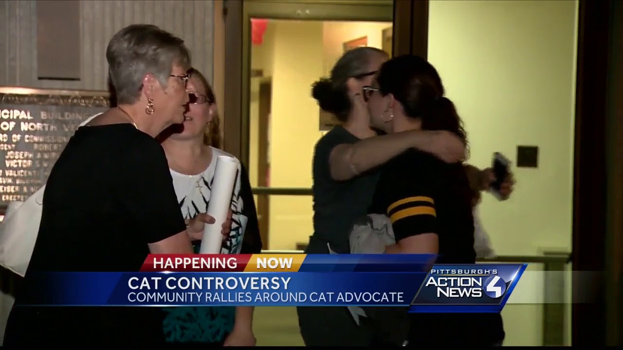 Cat controversy: Woman says she was threatened with fine, jail time for ...