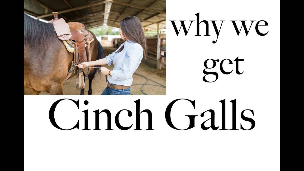 The Truth Behind Cinch Galls - YouTube