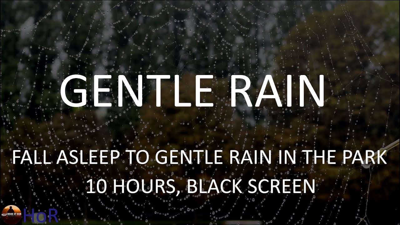 Evening Rain in the Park, Fall Asleep to Rain Sounds, 10 Hours Dark ...