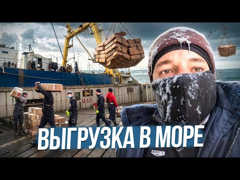 Самая тяжелая часть работы в море - ВЫГРУЗКА - Сколько платят ?