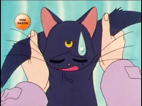 Sailor Moon 2. Sezon - Kidz/Animez Tanıtım Videosu