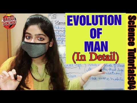 (P-2) HUMAN EVOLUTION| FROM APE TO MAN | SHORT TRICKS| IMPORTANT POINTS ...