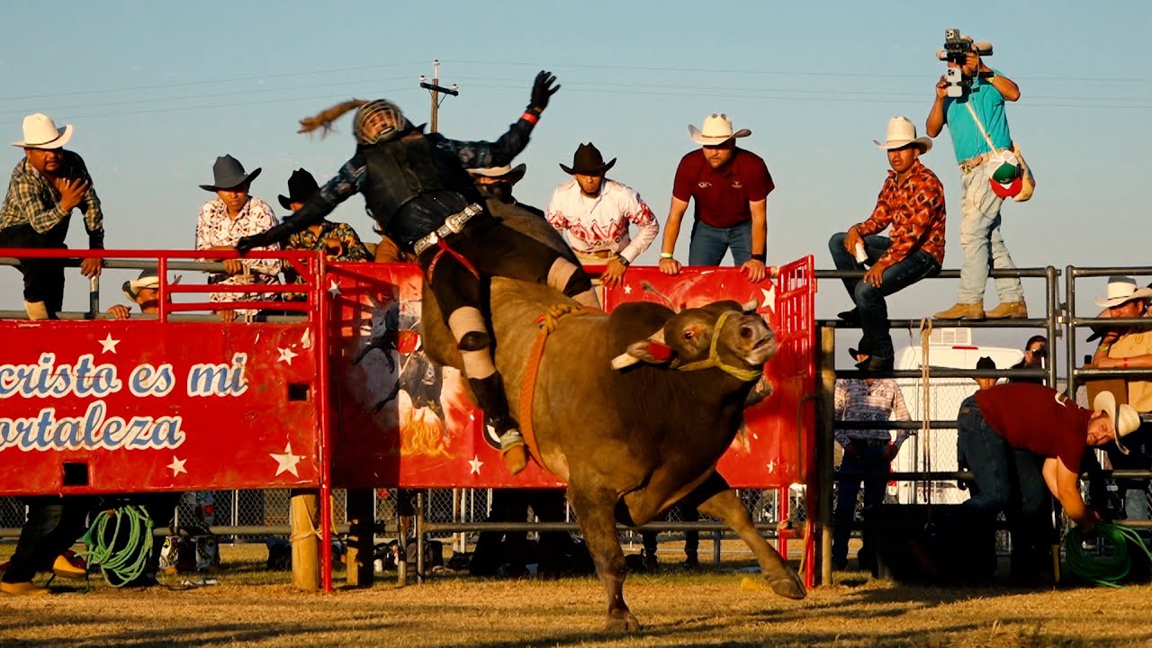 CHEQUEN LA CALIDAD DE TOROS DE REPAROS!! MARTINEZ RANCH EN CALIFORNIA ...