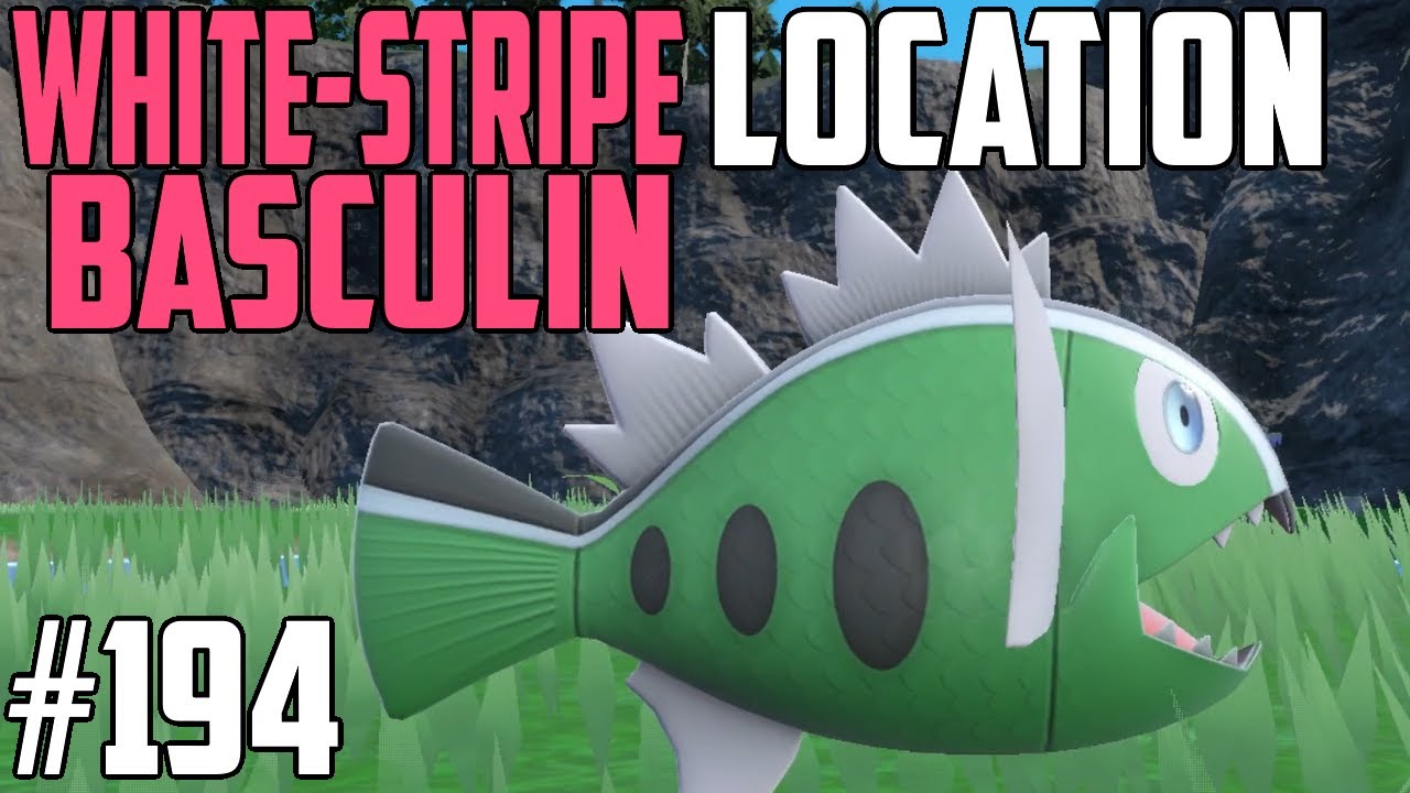 How to Catch White-Stripe Basculin - Pokémon Scarlet & Violet (DLC ...