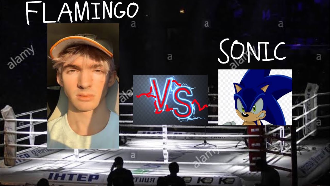 Flamingo VS. Sonic the hedgehog (Fighting trailer) - YouTube