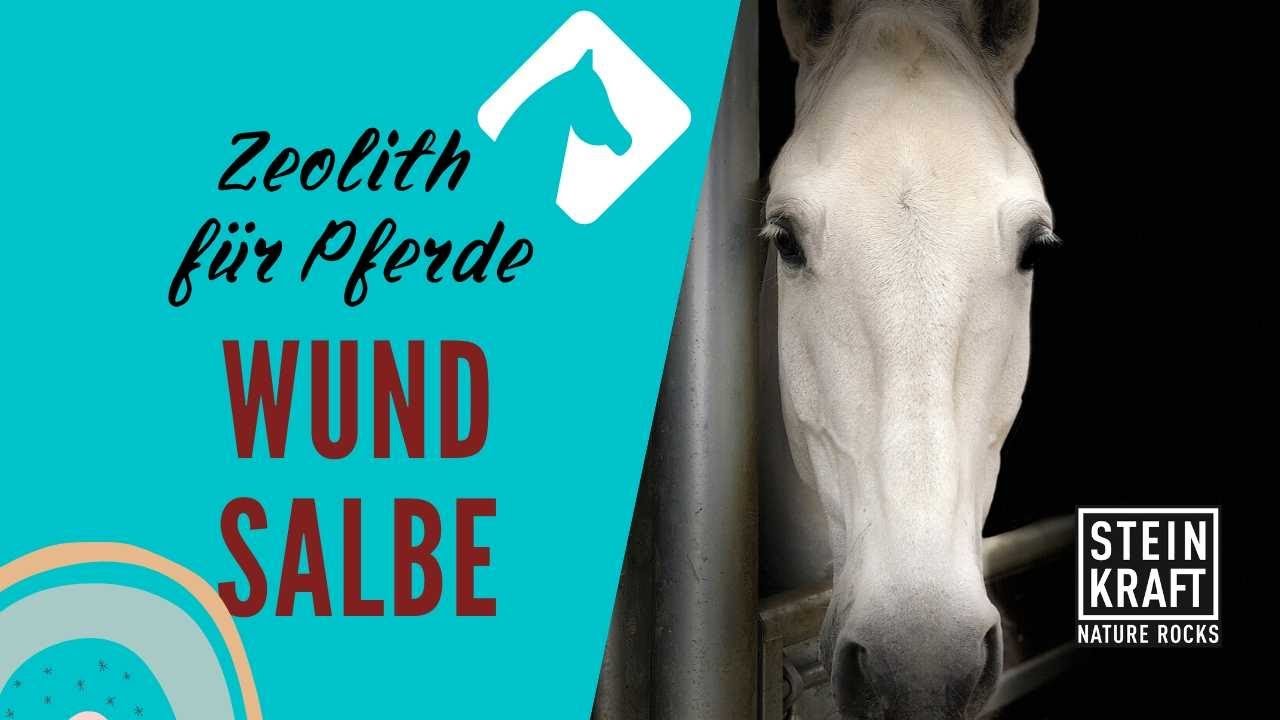STEINKRAFT Zeolith-Salbe auf Wunde vom Pferd einfach angewendet - YouTube