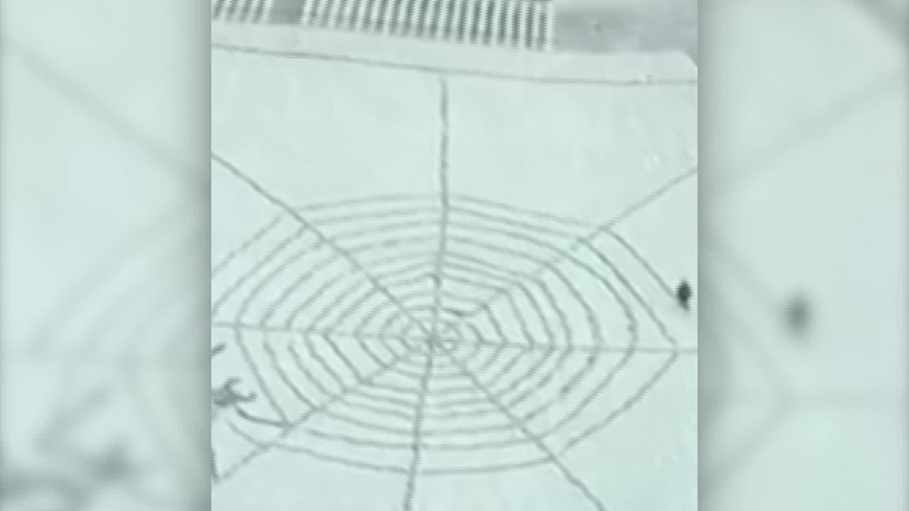 Video: Giant spider web in snow - YouTube