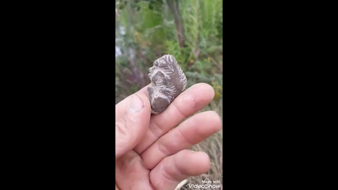stone bison 2 - YouTube