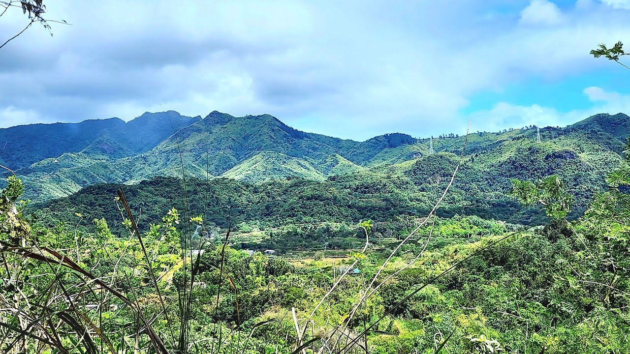 Mango Farm Antipolo City - YouTube
