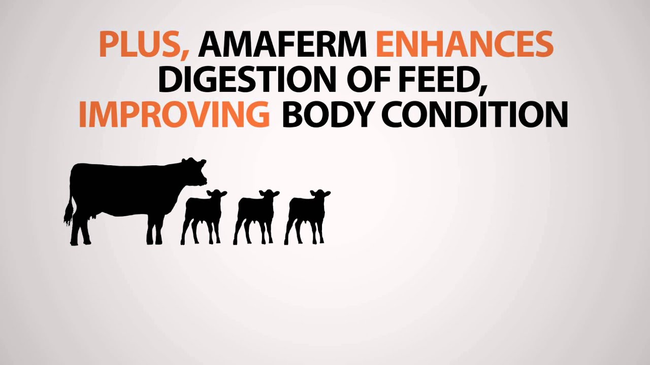 VitaFerm Concept-Aid: What is One More Worth? - YouTube