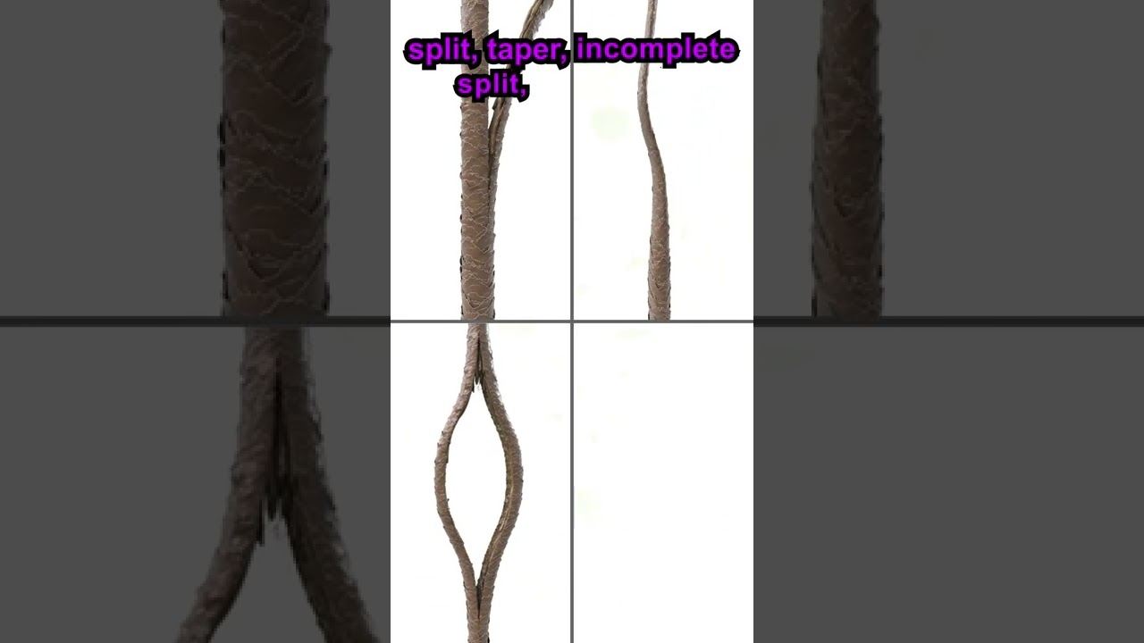 Is it really possible to heal split ends? - YouTube