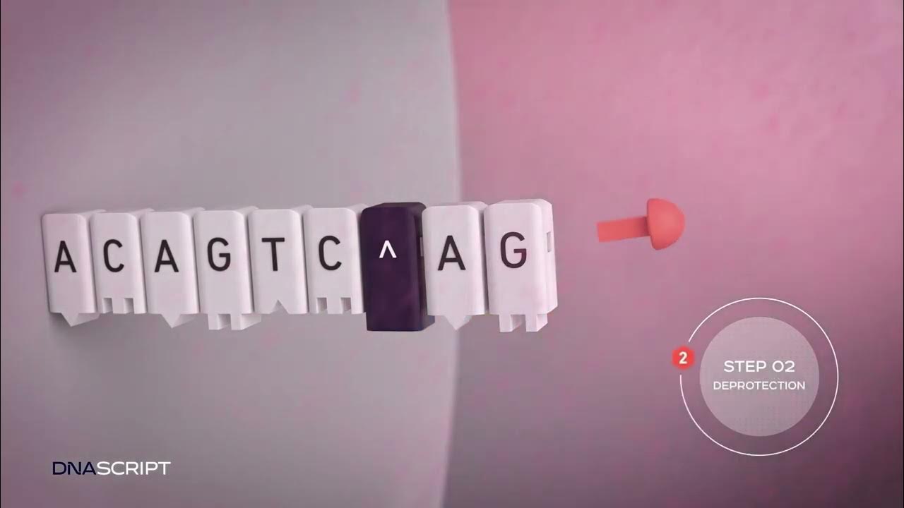 ㈜비엠에스 - BMS DNA Script SYNTAX System Workflow - YouTube