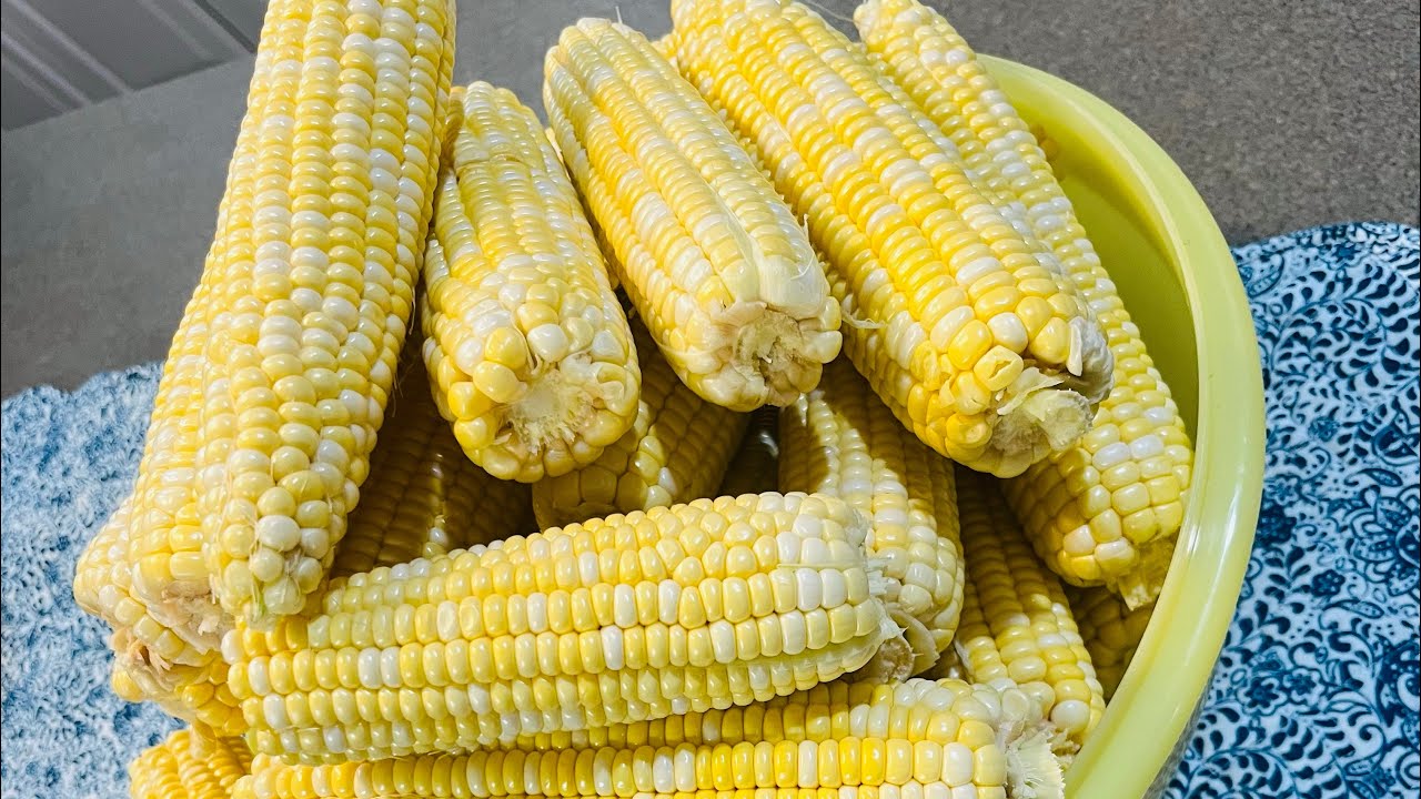 We have corn for days - YouTube