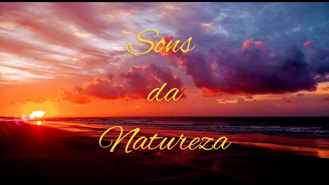 Sons da Natureza - Música para relaxar, meditar e dormir melhor. - YouTube