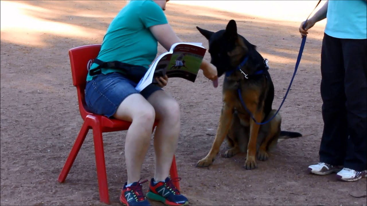 Week 1 DF Distraction Class Challenge Games - YouTube