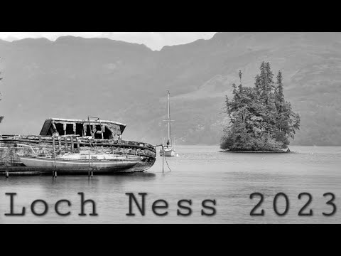 The Search Continues... - YouTube