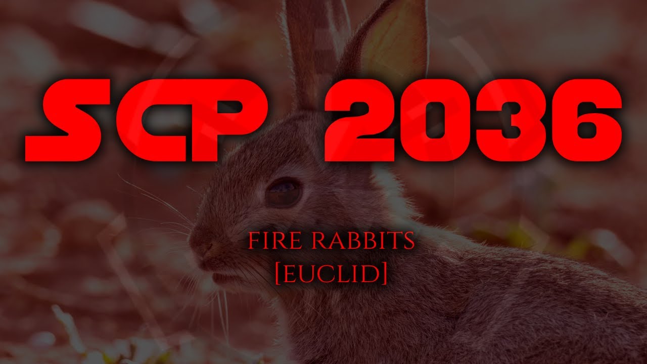 SCP 2036 - Fire Rabbits - EUCLID - YouTube