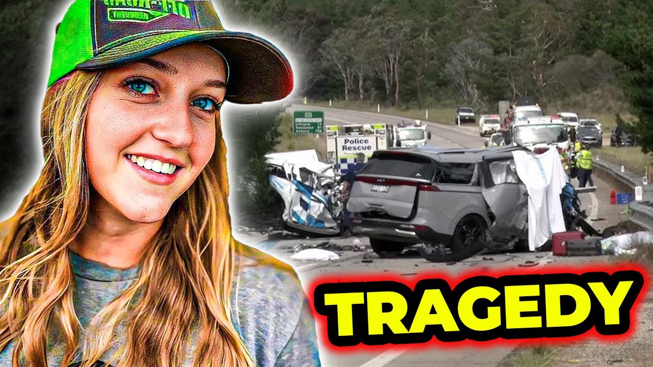 Matt's Of Road Recovery - Heartbreaking Tragic Life Of Lizzy From "Matt ...