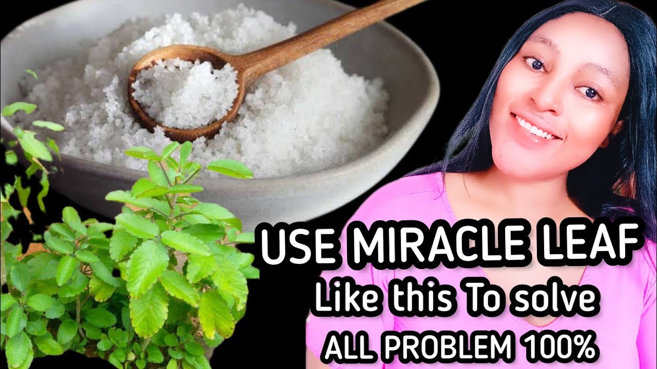 Miracle leaf Spiritual Wonders 💯solution to financial problem ️ Miracle ...