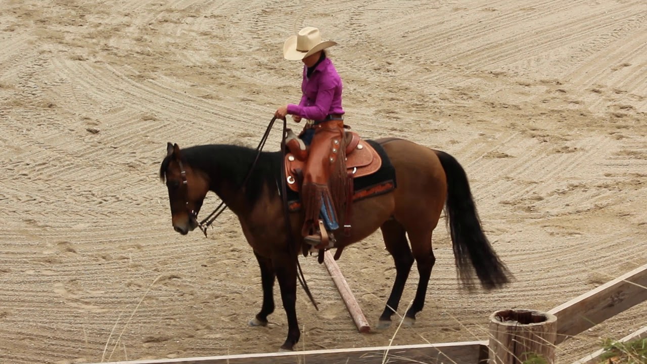 Wheeling Revolution Amateur Ranch Riding - Class #7 Ranch Horse Round ...