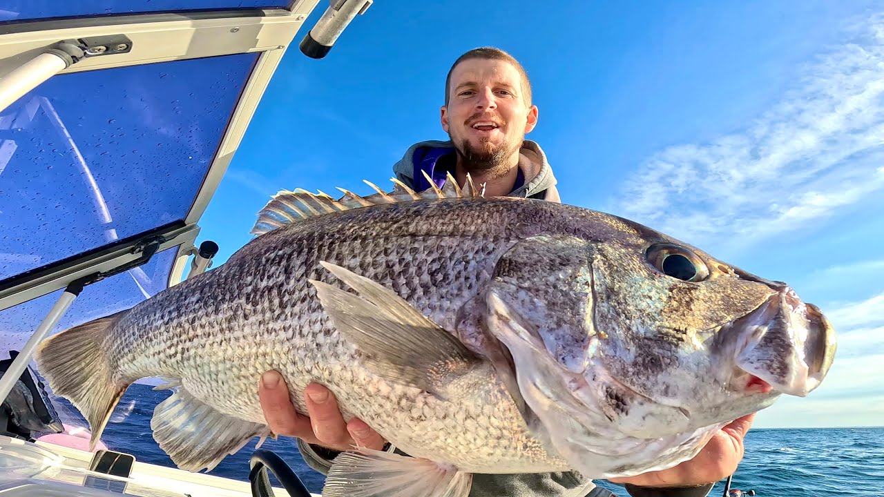 Bagged Out On West Australia’s Favourite Fish: Dhufish & Tuna ~ How I ...