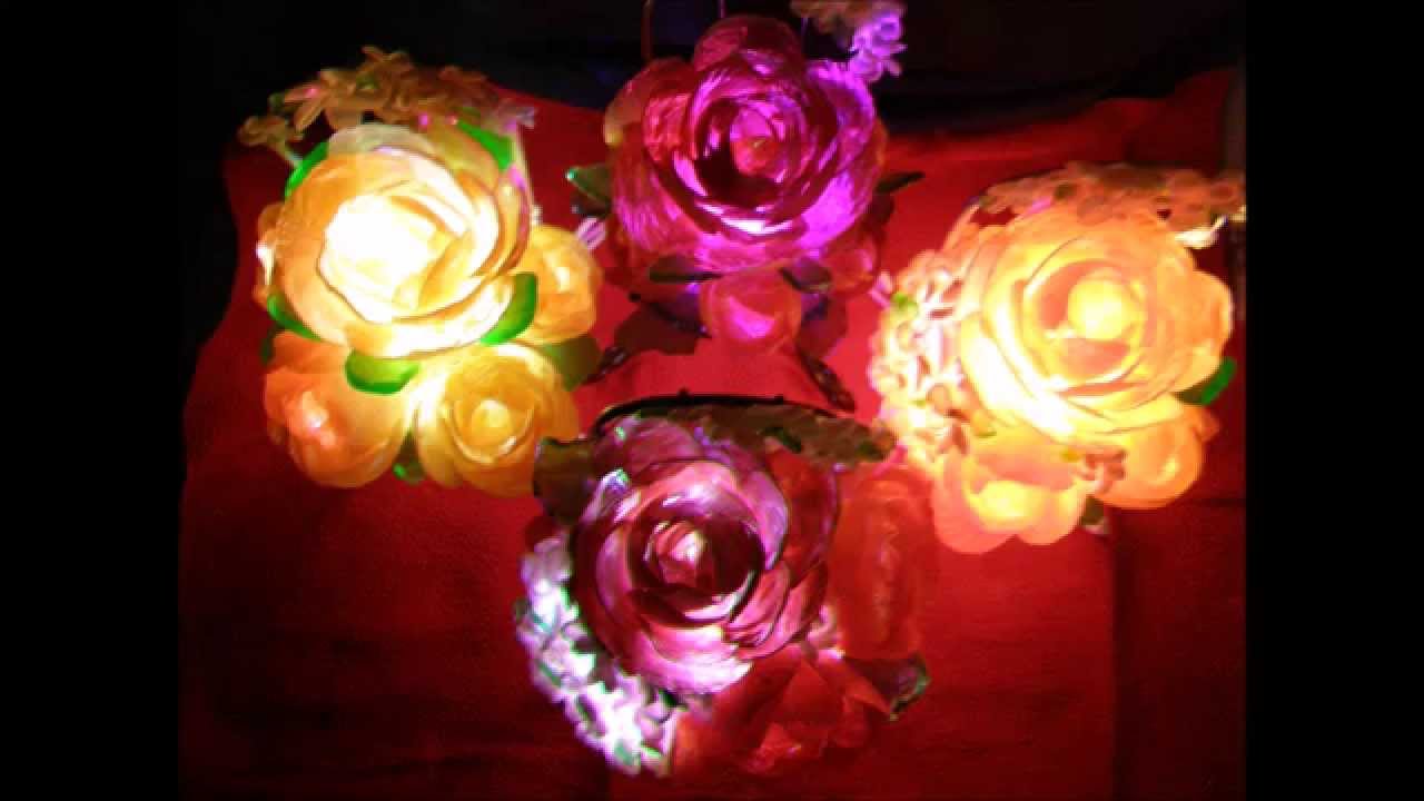 Shell Rose - YouTube
