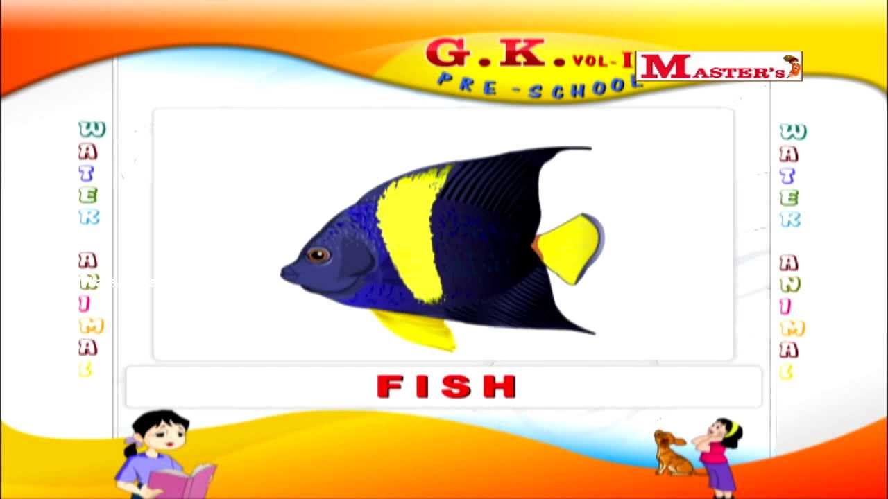 Water Animals - English Animation Video for Kids - YouTube