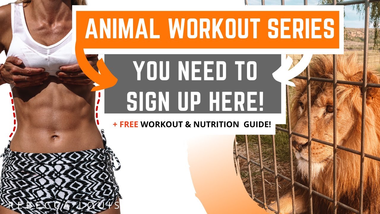 FREE 30 day Workout & Nutrition Guide - BIG CAT Animal Series! SIGN UP ...