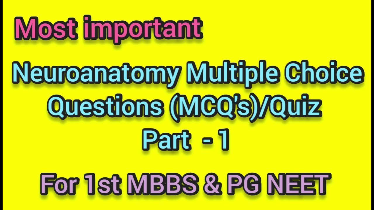 Neuroanatomy Multiple Choice Questions (MCQ's)/Quiz - Part 1 for 1st ...