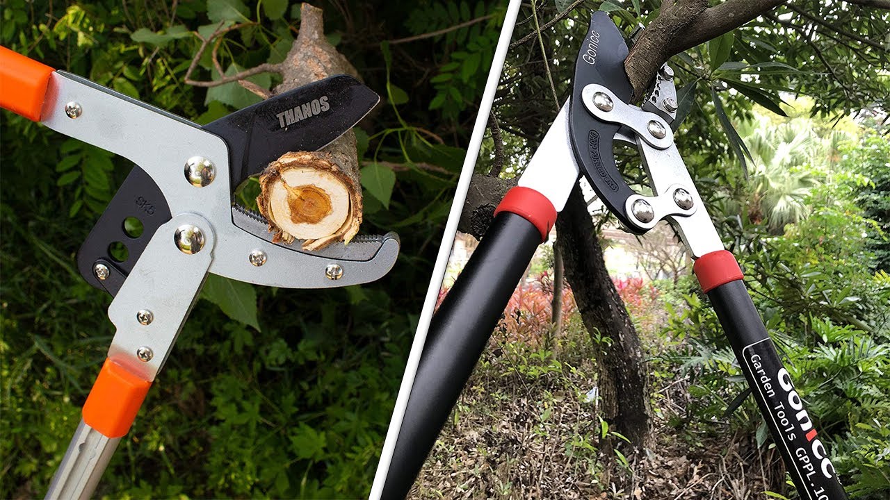 Experience Effortless Pruning with These Lightweight Loppers - YouTube