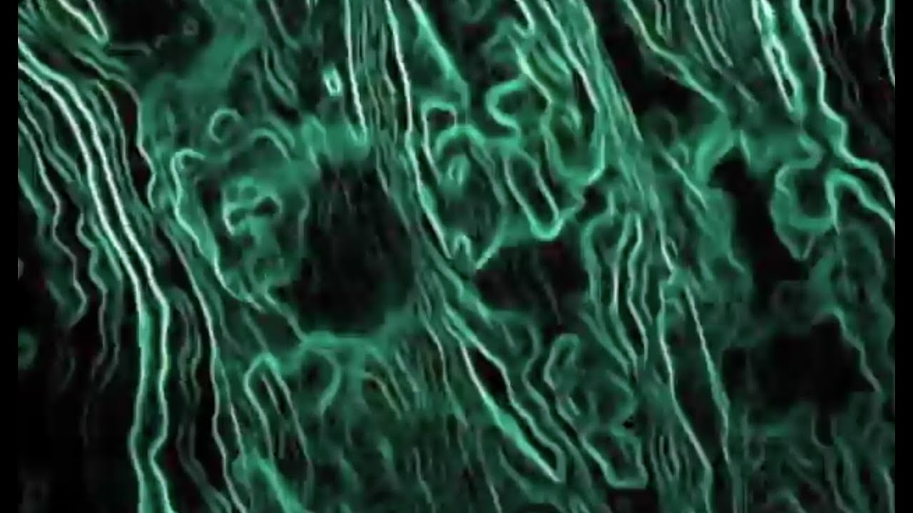 Wavez - YouTube