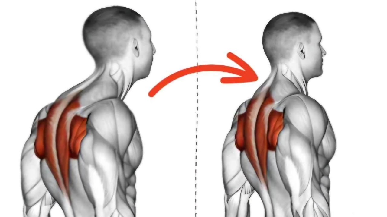 The best exercises for neck curvature at home 🏠 - YouTube