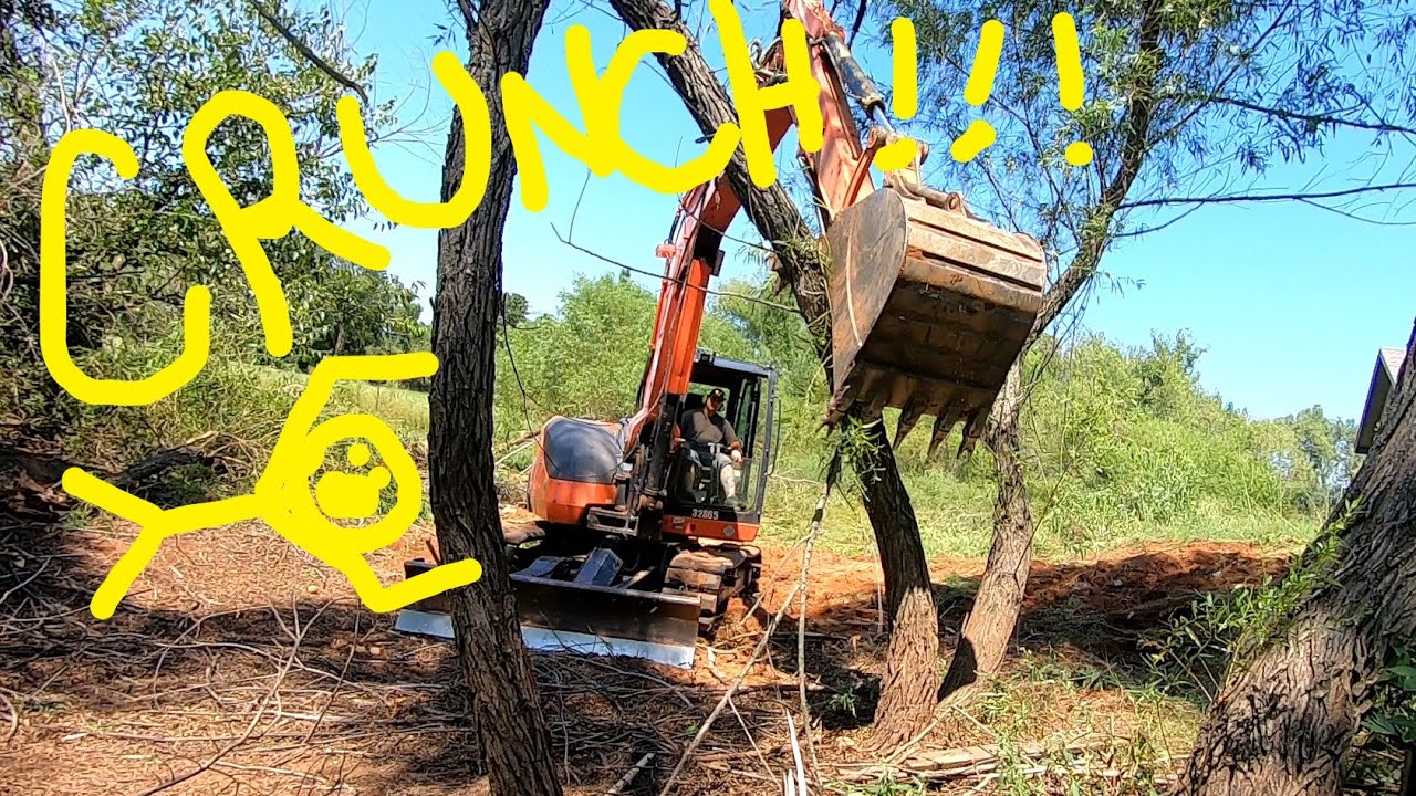 Crunchy trees are Satisfying!!! #117 - YouTube