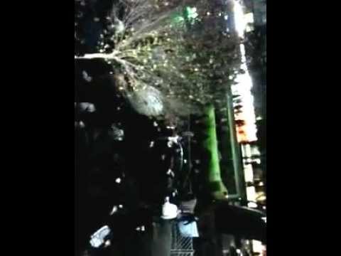 Mesed Seherinde Qetil sinan gunu