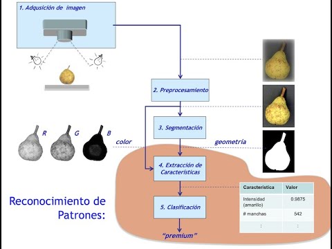 02 Reconocimiento de Patrones: Introducción (primera parte) - YouTube