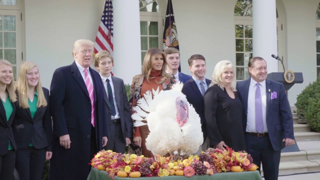 President Trump Pardons the National Thanksgiving Turkey - YouTube