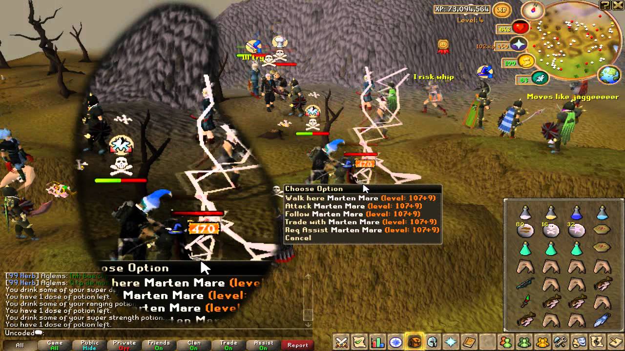 Turmoil Zerker Pure - AGS - Claws - DDS - Rapier - Uncoded Pk Video 11 ...