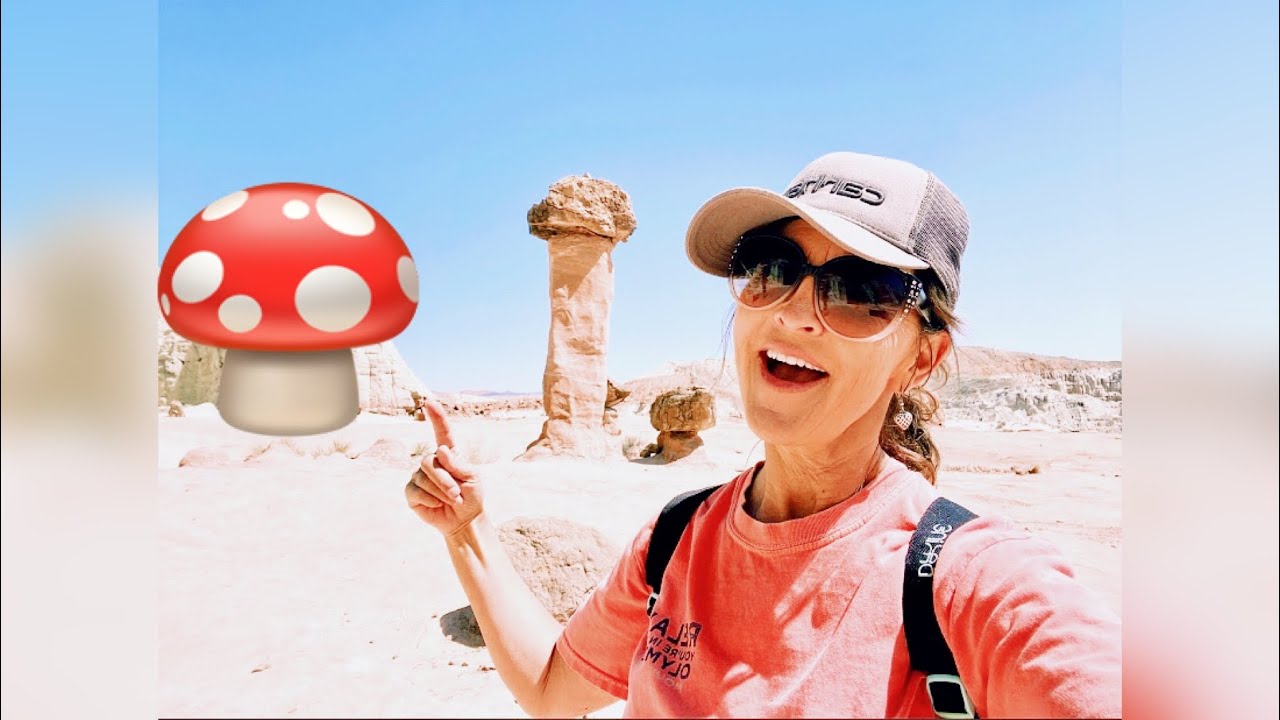 Looking for a Fungi (Fun Guy) at Toadstool Traihead - YouTube