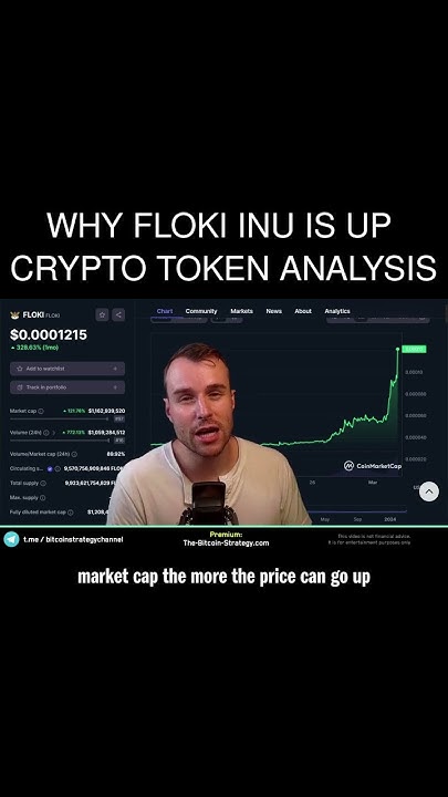 Why Floki Inu is up 🤩 Crypto Token Analysis - YouTube