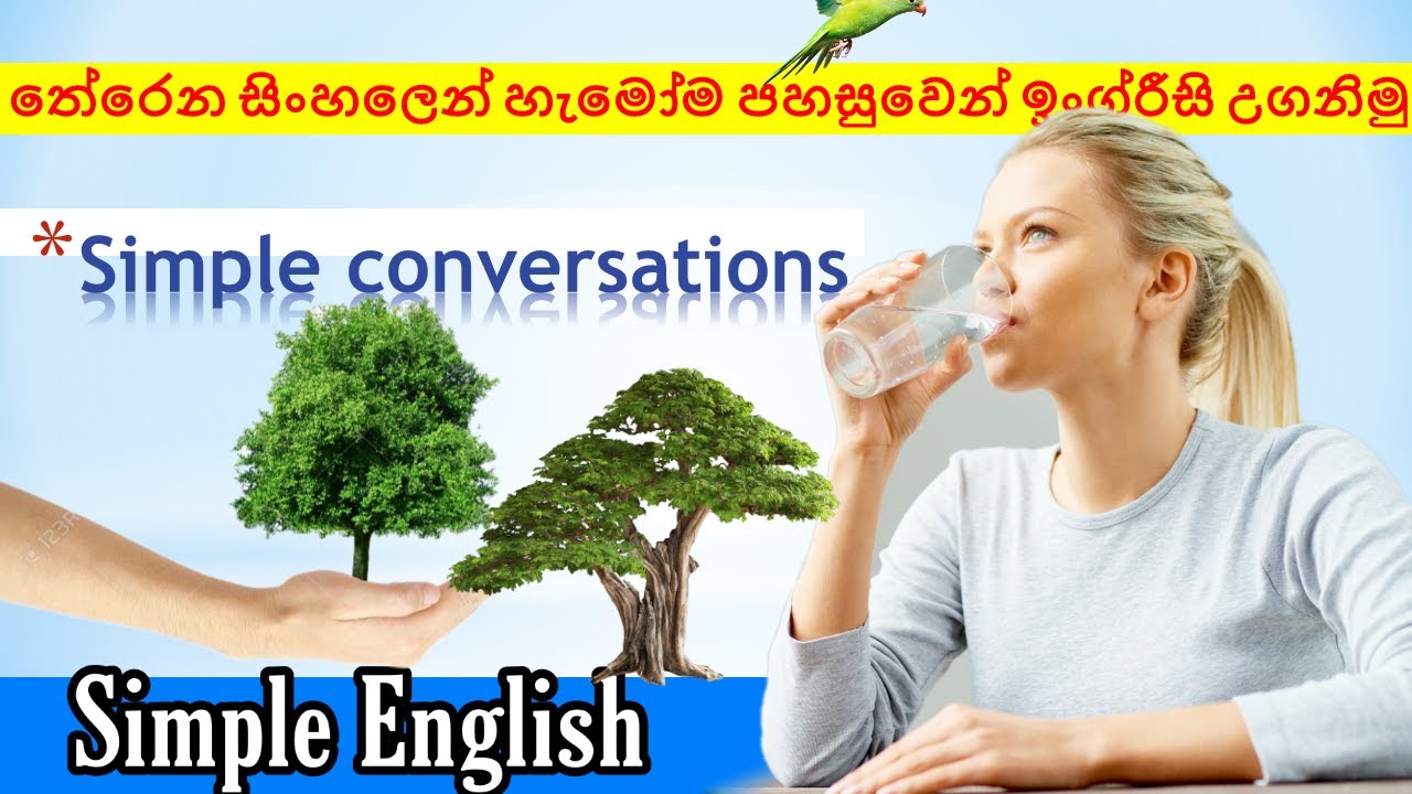 Spoken English In Sinhala English Grammar In Sinhala Exercise 54 spoken-english-in-sinhala-english-grammar-in-sinhala-exercise-54