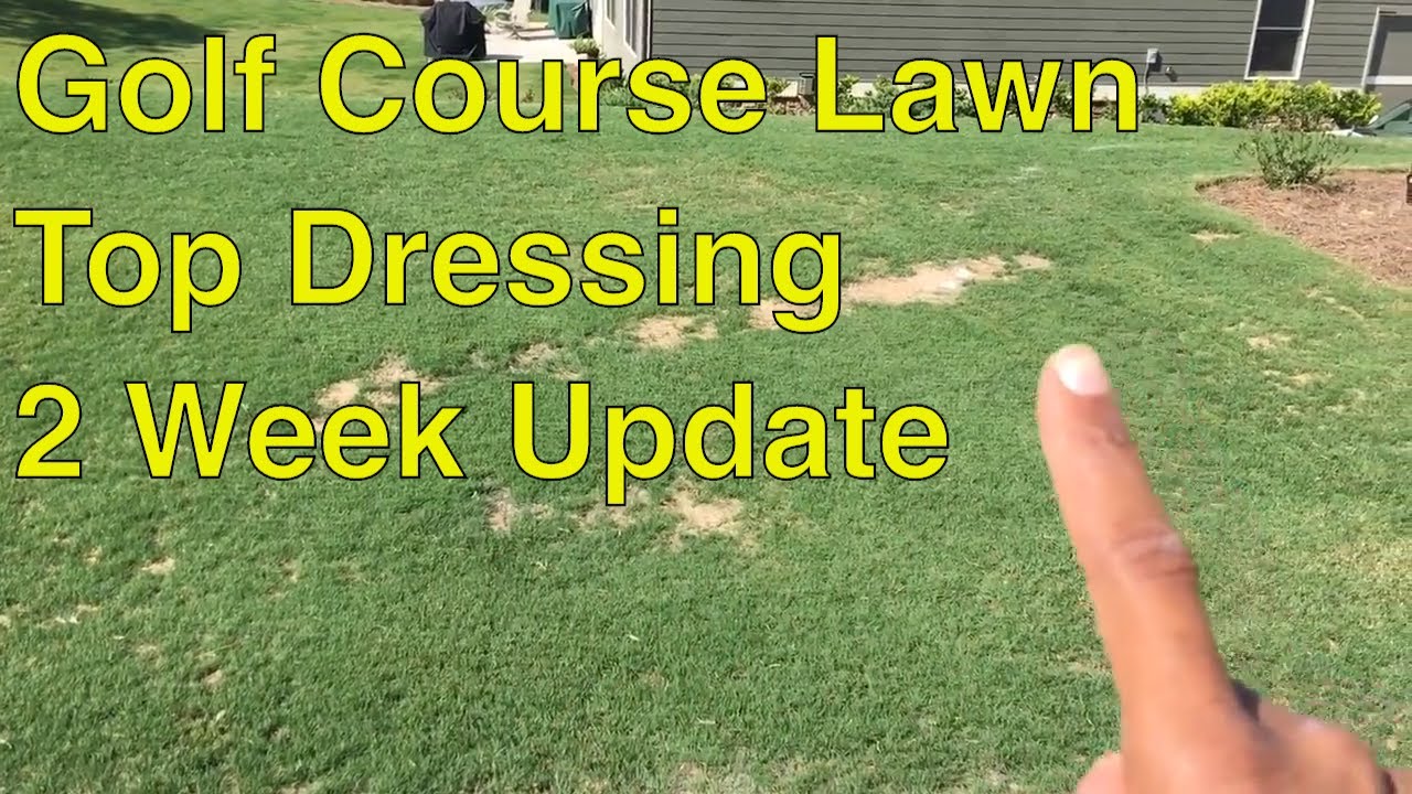 GOLF COURSE LAWN Care 2 Week TOP DRESSING Update - YouTube