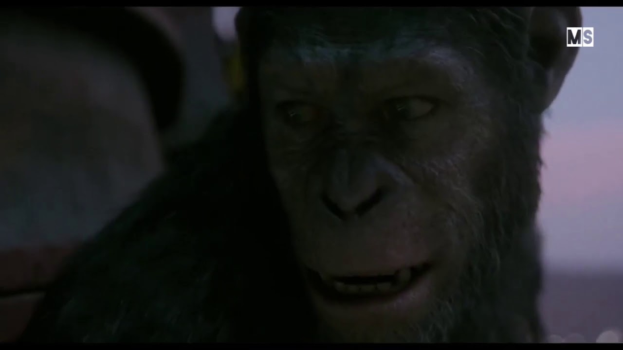 Planeta De Los Simios Confrontación (La Pelea Final Koba vs Cesar HD ...