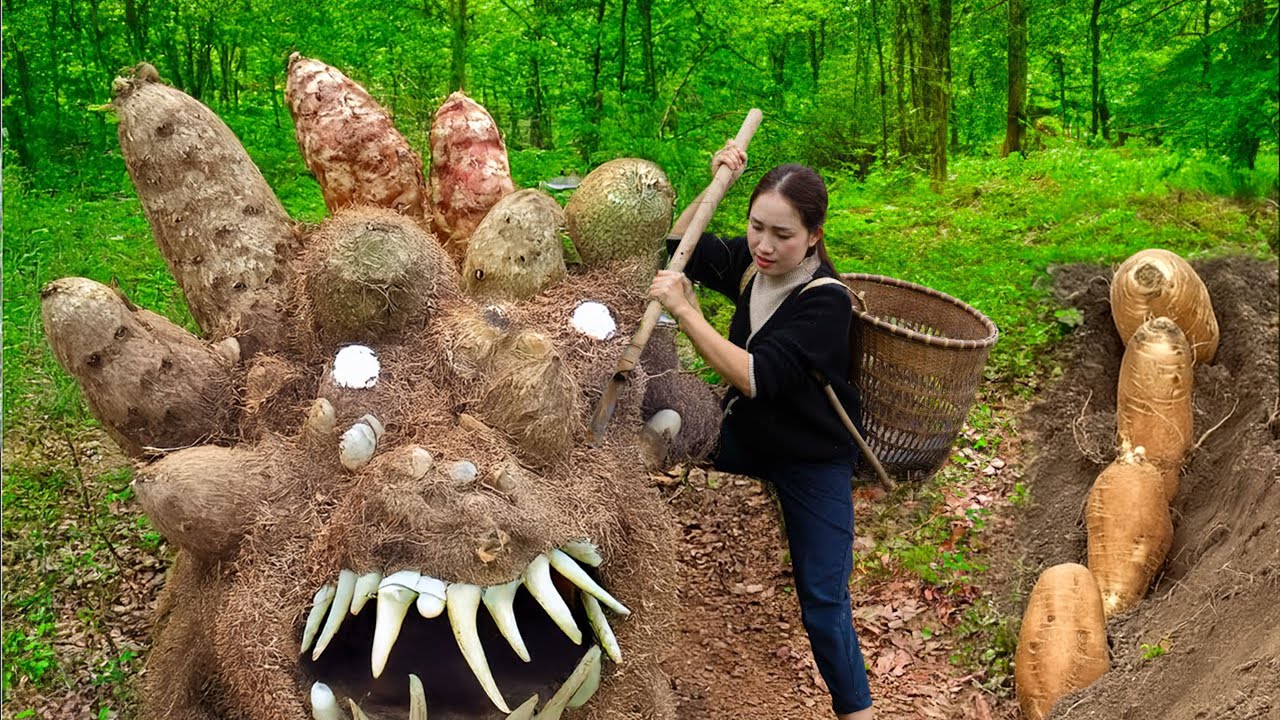 Amazing,Women Harvest Devil-Faced Potatoes go market sell, The type of ...