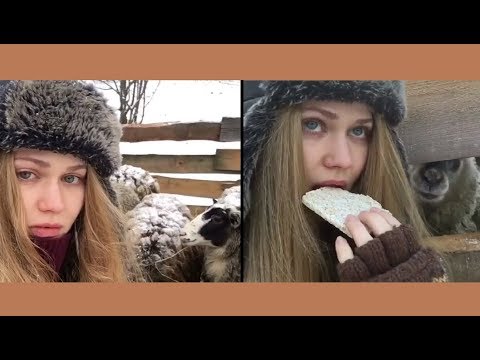 ПОЛЯ ИЗ ДЕРЕВКИ |  ЖИЗНЬ В ДЕРЕВНЕ