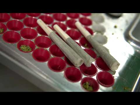 Over 400 Joints Rolled In Under 2 - STM Rocketbox at WebJoint LA 2018 ...