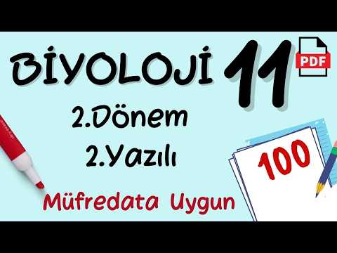 Biyoloji 11. Sınıf 2. Dönem 2. Yazılı  MEB Senaryolara uygun +PDF Biyoloji 11 yazılı