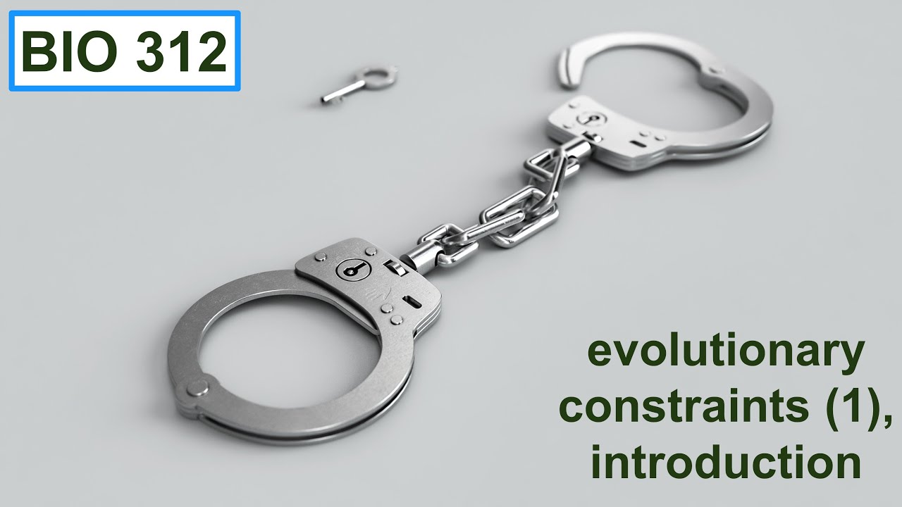 Evolutionary constraints (1), introduction. - YouTube