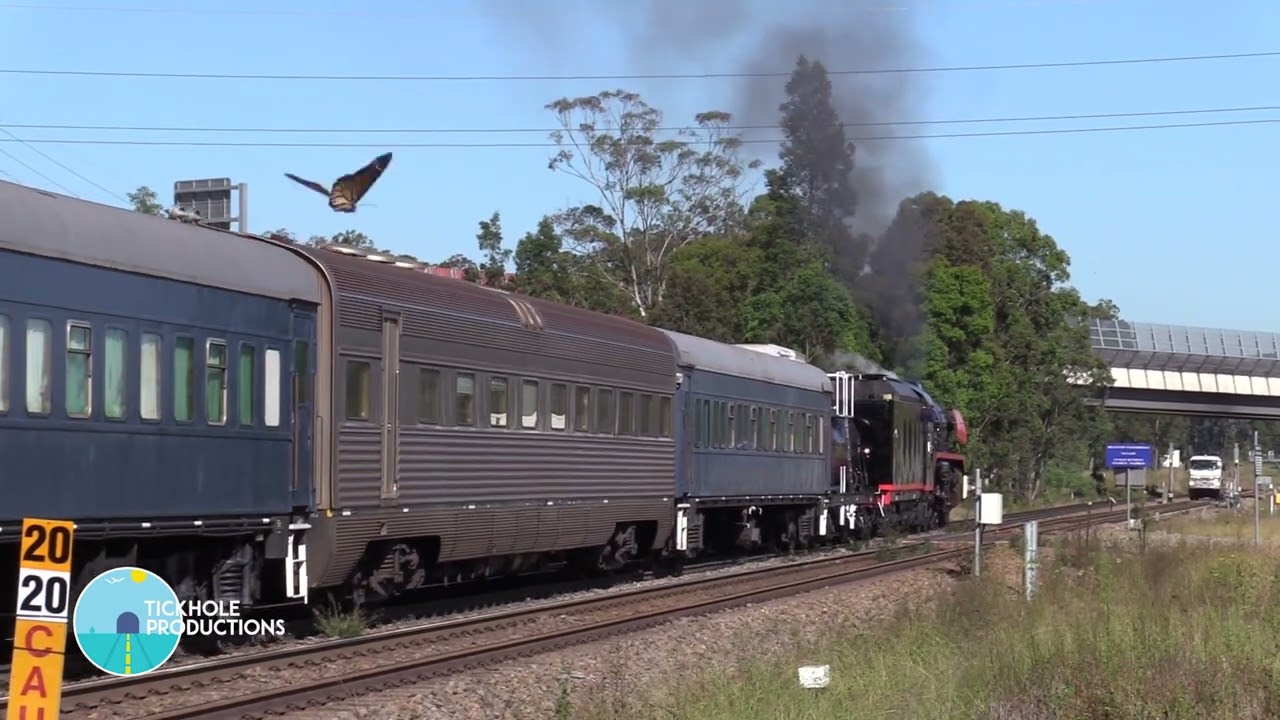 Steam Locomotive R766 - Mainline Trial to Muswellbrook - February 2022 ...